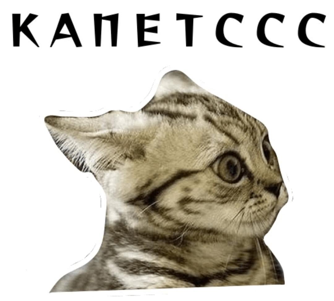 Как подготовить хороший доклад на научную конференцию - Multiwork